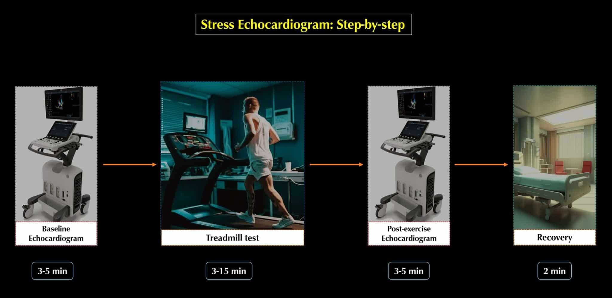 Stress Echocardiogram Stress Echo Stress Test HeartcareSydney stress-echocardiogram-stress-echo-stress-test-heartcaresydney